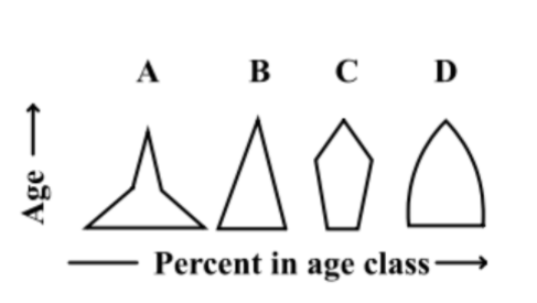 Consider the four age pyramids given below namely