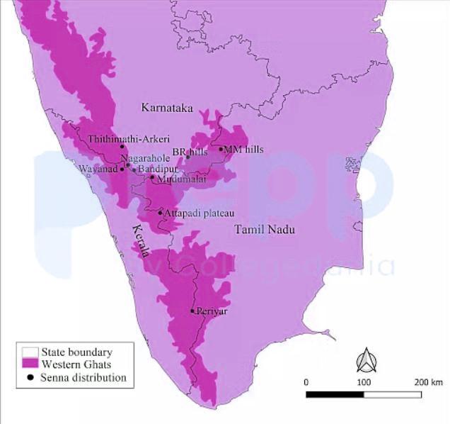 Download and Practice Previous Year Questions for