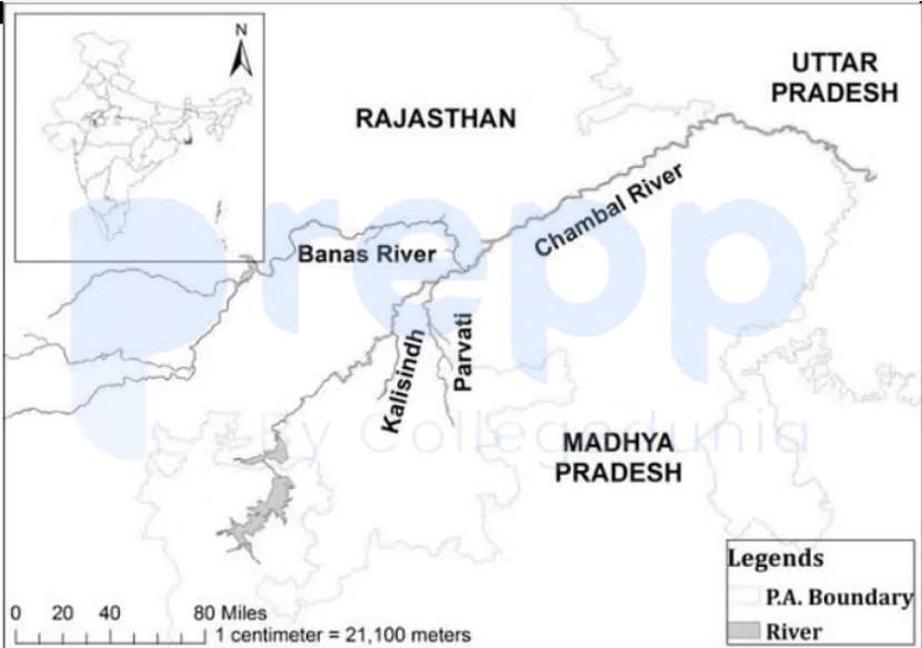 Download and Practice Previous Year Questions for