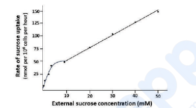 Sucrose transport in plant cells follows both acti
