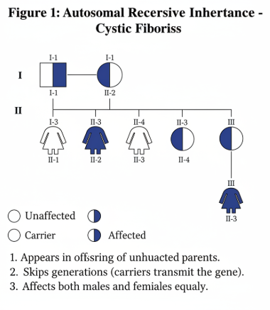 Draw pedigrees for autosomal recessive and sex-linked inheritance using ...