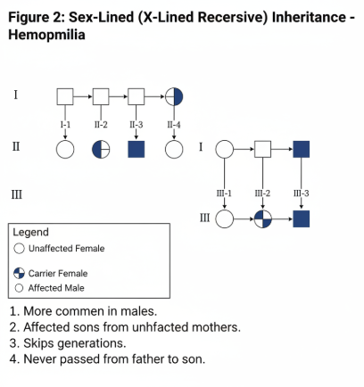 Draw pedigrees for autosomal recessive and sex-linked inheritance using ...