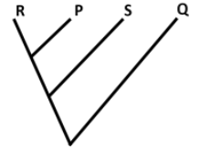 The character matrix below lists four taxa (P-S) and their nine ...